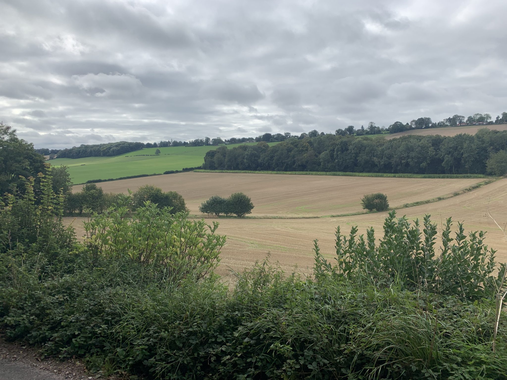 Great Missenden - Bledlow Ridge - Bradenham loop - Zozibike